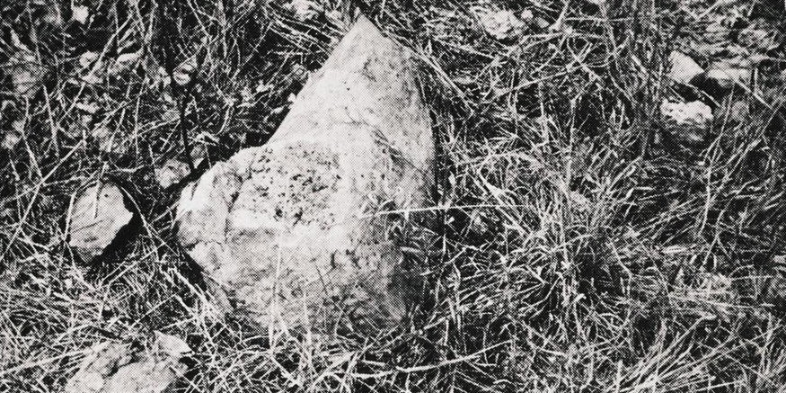 Thomas Struth’s Technology Photographs – Nonsite.org