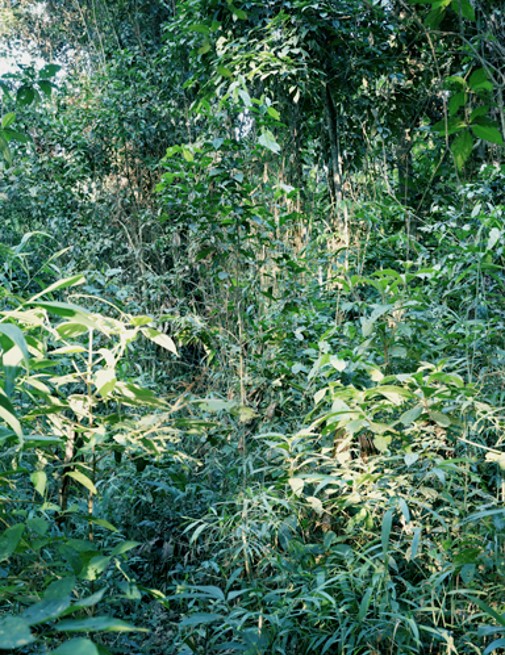 Thomas Struth’s Technology Photographs – Nonsite.org